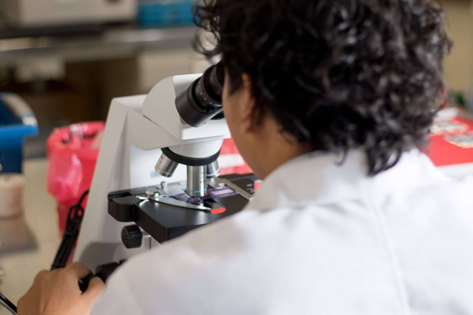 Laboratorio Tamaulipas